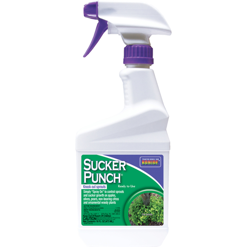 Bonide 2761 Killer Sucker Punch Tree Roots RTU Liquid 16 oz