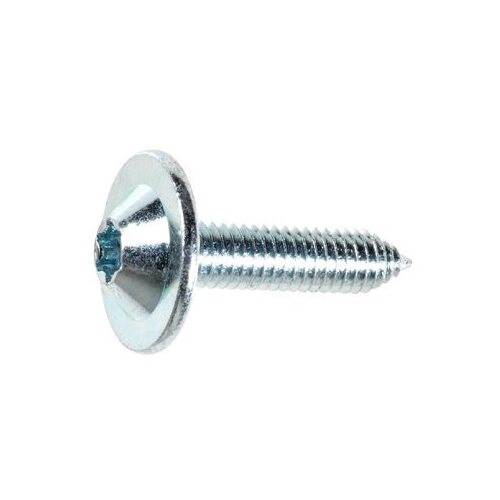 AUVECO 15807 TORX HEAD BODY BOLT M6-1.0 X 25MM ZINC