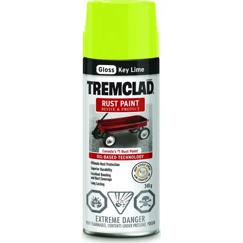 Rust-Oleum 27033B522 TREMCLAD Rust Spray Paint, Gloss, Key Lime, 340 g ...
