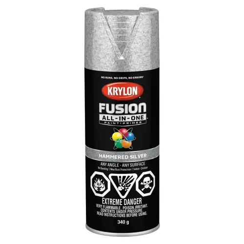 KRYLON 427880007 Fusion All-In-One Paint and Primer, Hammered, Silver ...