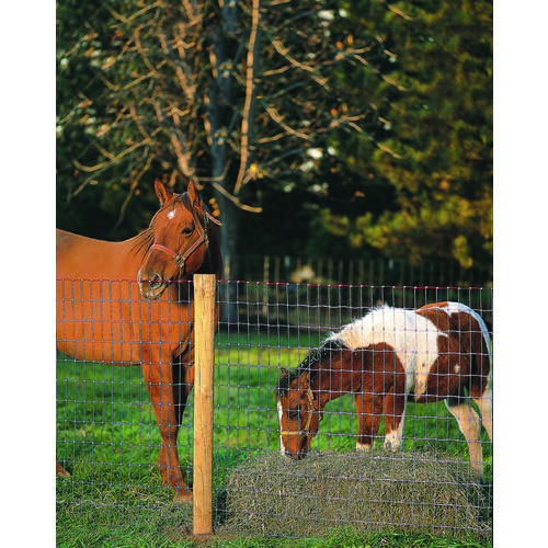 Red Brand 70310 Square Deal Tradition Horse Fence, 100 ft L, 48 in H ...