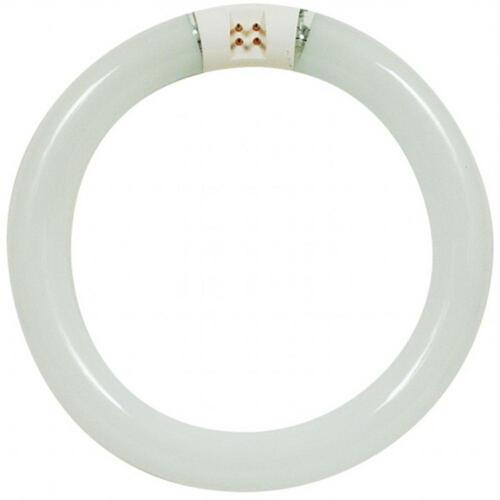 Feit Electric FC30 Fluorescent Bulb, 30 W, G10Q Lamp Base, 3000 K Color ...