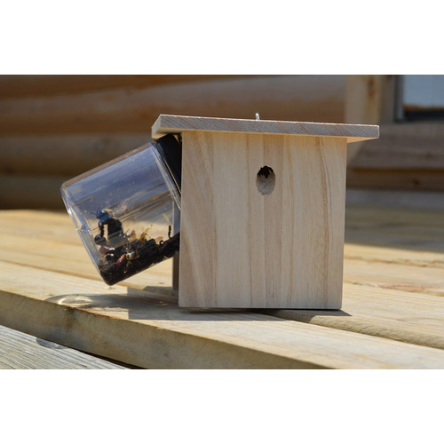 Bees N Things BEES-AST Carpenter Bee Trap