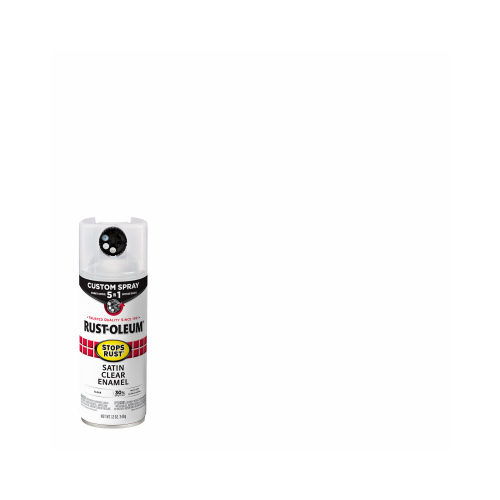 Rust-Oleum 376883 12OZ CLR Spray Paint