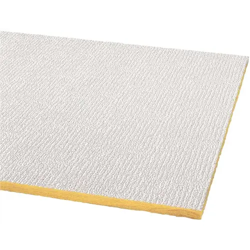 ARMSTRONG WORLD INDUSTRIES 2906 Armstrong Shasta-Perforated 2 ft. x 4 ...
