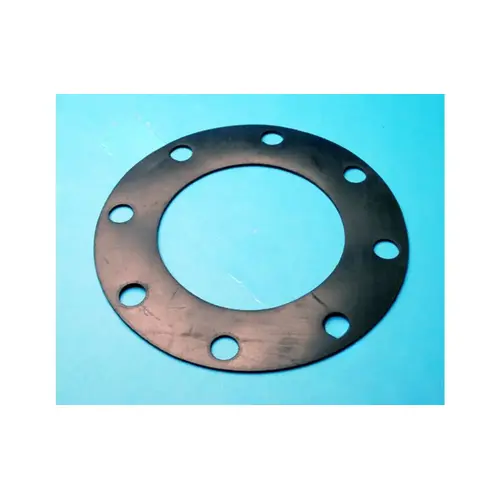 Pentair B4506 6" Stark Flanged Gasket For Commercial Filters Buy Now