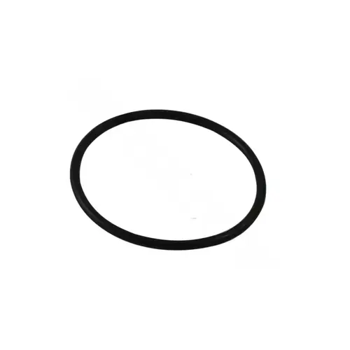 Pentair Water Pool & Spa Inc 072560 2" Ortega Check Valve Screw Cap ...