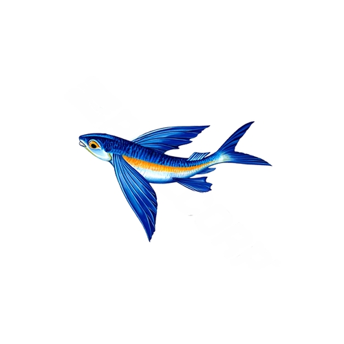 Custom Mosaics PORC-FF14R 8" X 5" Flying Fish Reverse Tile