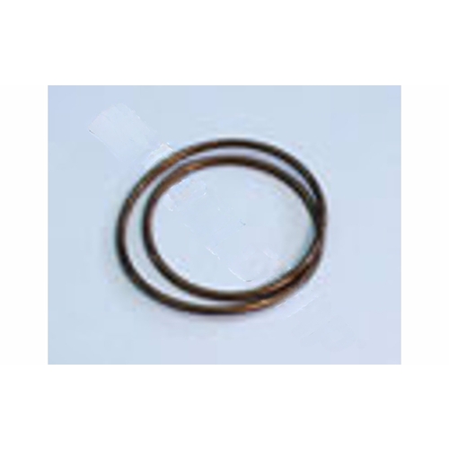 Waterway Plastics 805-0256 O-ring, #256 - 48fr Side Dischg (310-1130,40,41)