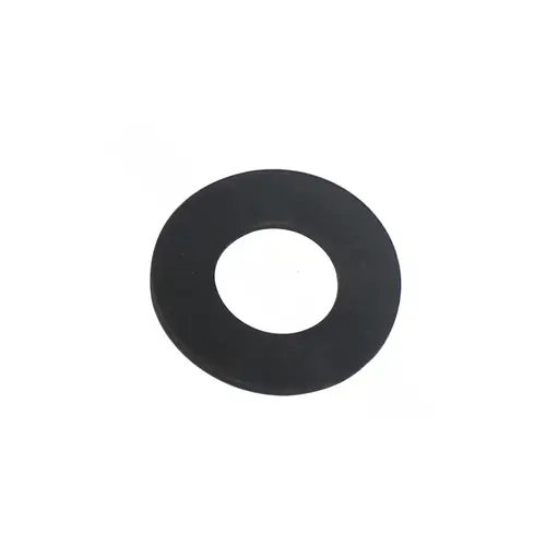 Pentair R172015 Neo Module Filter Gasket Buy Now