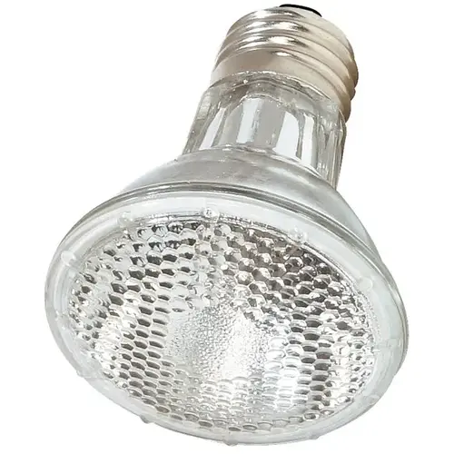 Satco S2232 Halogen Bulb 39 W PAR20 Floodlight 530 lm Warm White Clear ...