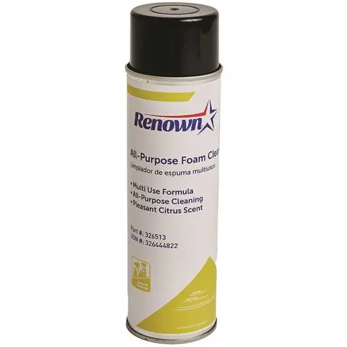 Renown REN034 All Purpose Foam Cleaner Aerosol 19 oz. - pack of 12 Buy Now