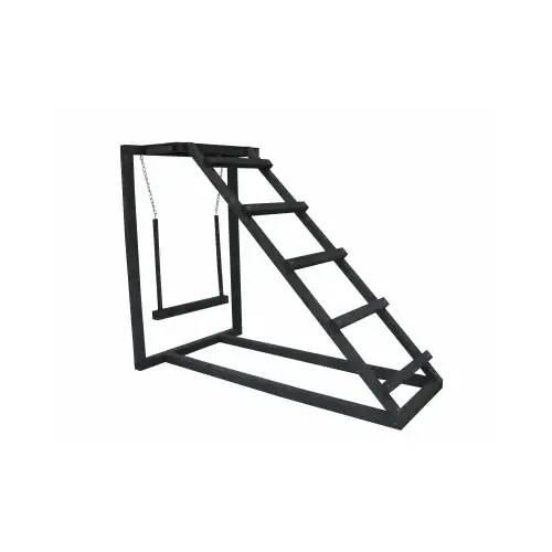 MY BACKYARD FARM DDP-1742 Ladder/Swing Active Set Buy Now