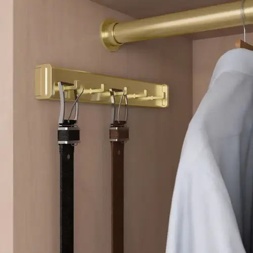 Richelieu Hardware 3542160 Design-R Pull-Out Belt Rack Satin Brass Buy Now
