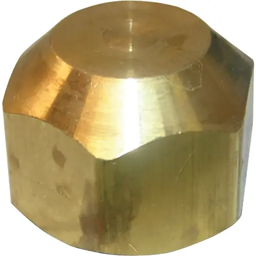 Lasco 17-4011 1/4 In. Brass Flare Cap Buy Now