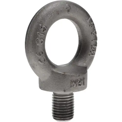 Value Collection 58030 Fixed Lifting Eye Bolt: With Shoulder, M30 x 3. ...