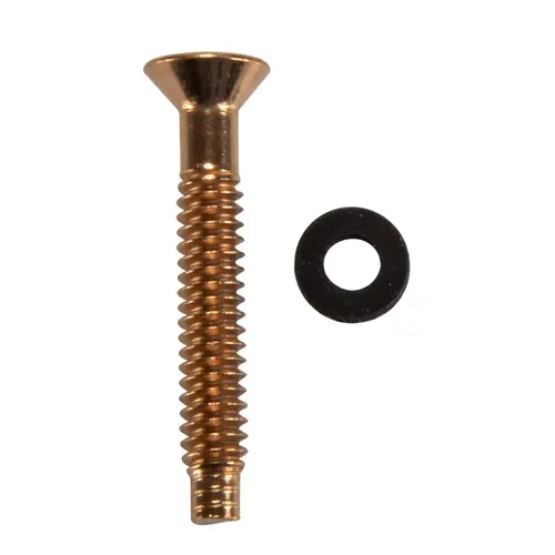 Pentair 791048 Pilot Screw, Brass Buy Now