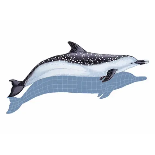 Custom Mosaics SD4-33/SH Shadow Spotted Dolphin 33"x14" Buy Now