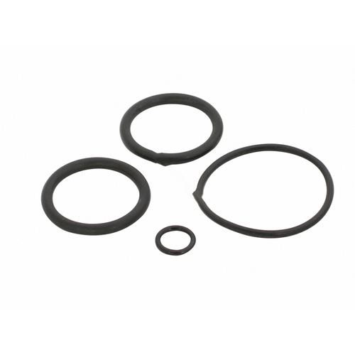 Pentair 263054 Slide Valve O-ring Kit Buy Now