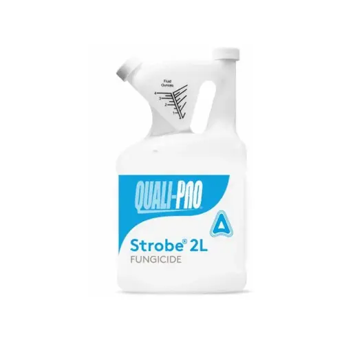 Quali-Pro 83100016 Quali-pro Gal Strobe 2l Fungicide Buy Now