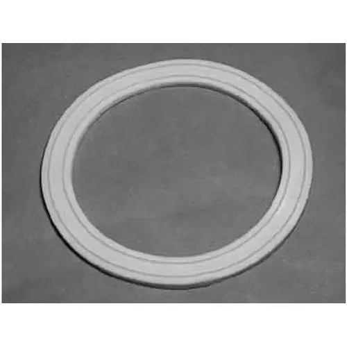 Waterway Plastics 711-1750B Bag Poly Jet Gasket Buy Now