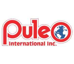 PULEO ASIA LIMITED 75-YD1678L Lighted Elk, LED, Twinkling, Warm White ...